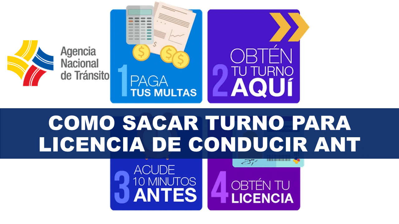 ¿CÓMO SACAR UN TURNO PARA TRÁMITES EN LA ANT?